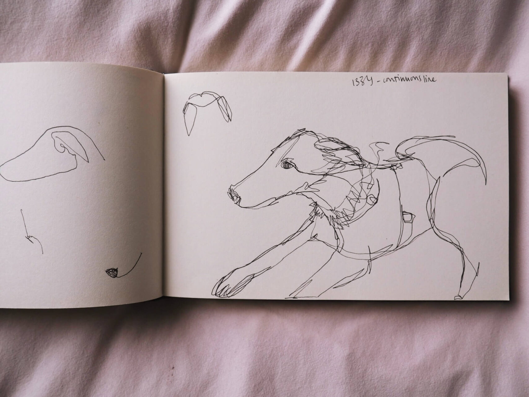 A wholesome, creative and cute evening at Dog Life Drawing • Lyzi Unwin