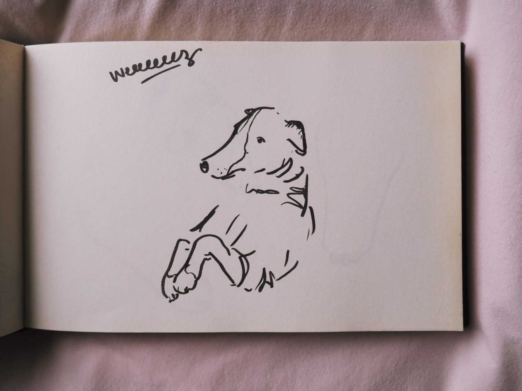 A wholesome, creative and cute evening at Dog Life Drawing • Lyzi Unwin